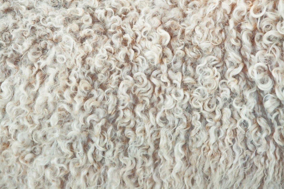 Termoizolacija | Hidroizo